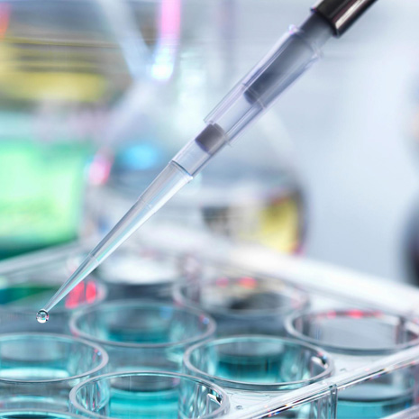 Ceramic Technology Membrane For Fermentation Broth | JIUWU HI-TECH